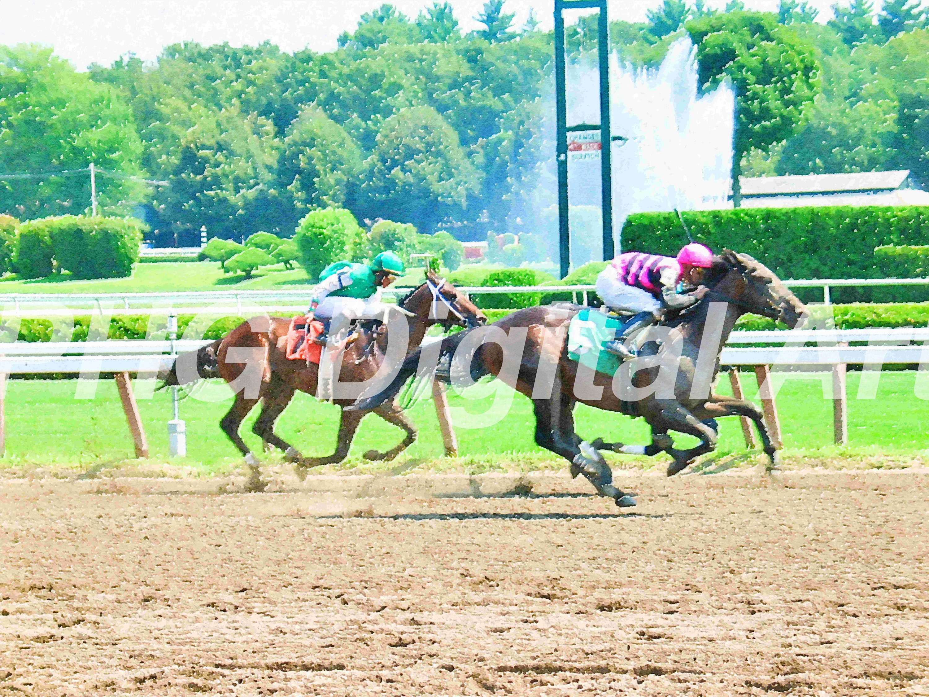 Horse Race Track Finish Line