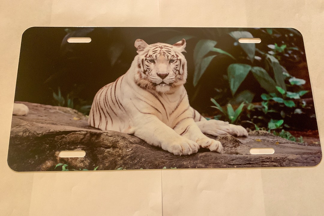 White Tiger premium license plate. Made In the USA - Etsy Österreich