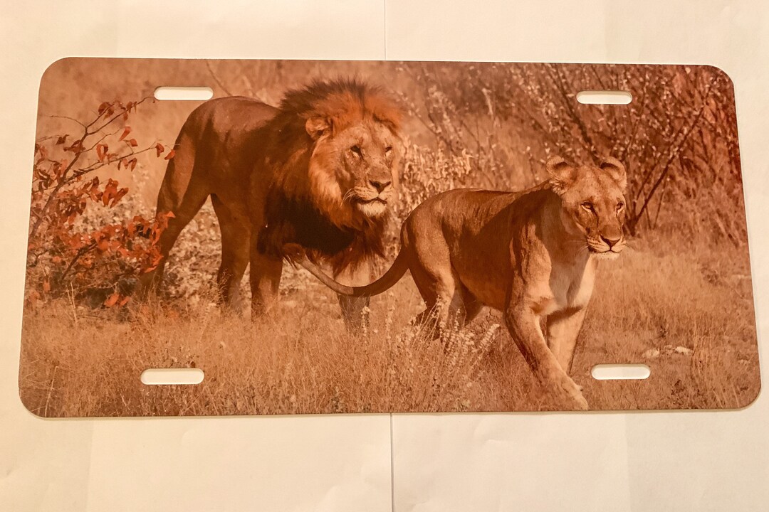 Lion and Lioness Premium License Plate. Made in the USA - Etsy