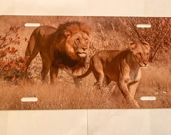 Lion and Lioness Car - Etsy