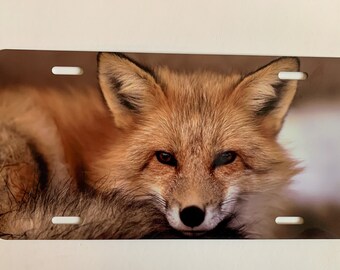 License Plate Frame Fox - Etsy
