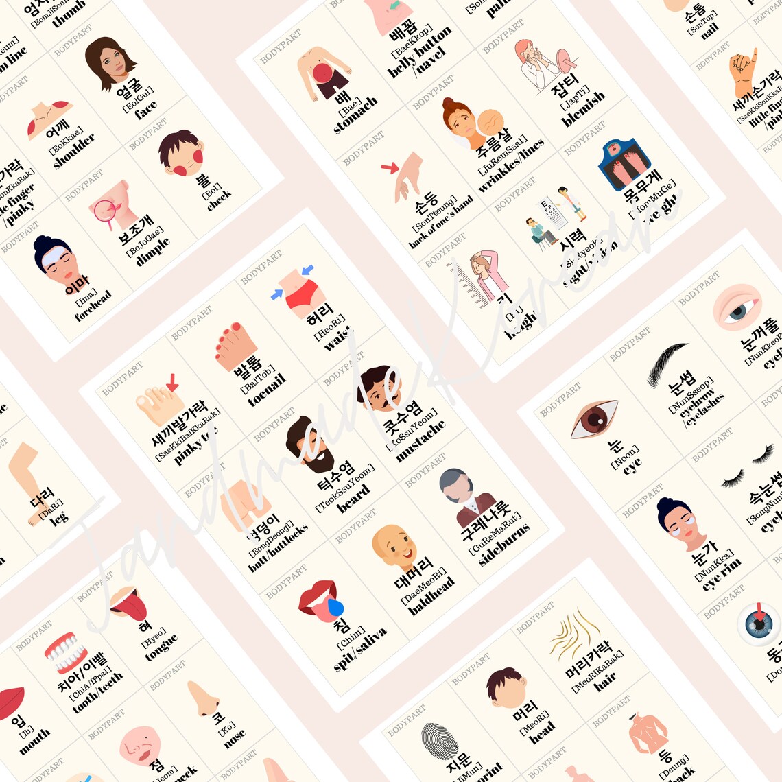 Korean Alphabet Hangul Printable Korean Flash Cards Body Part Learning ...