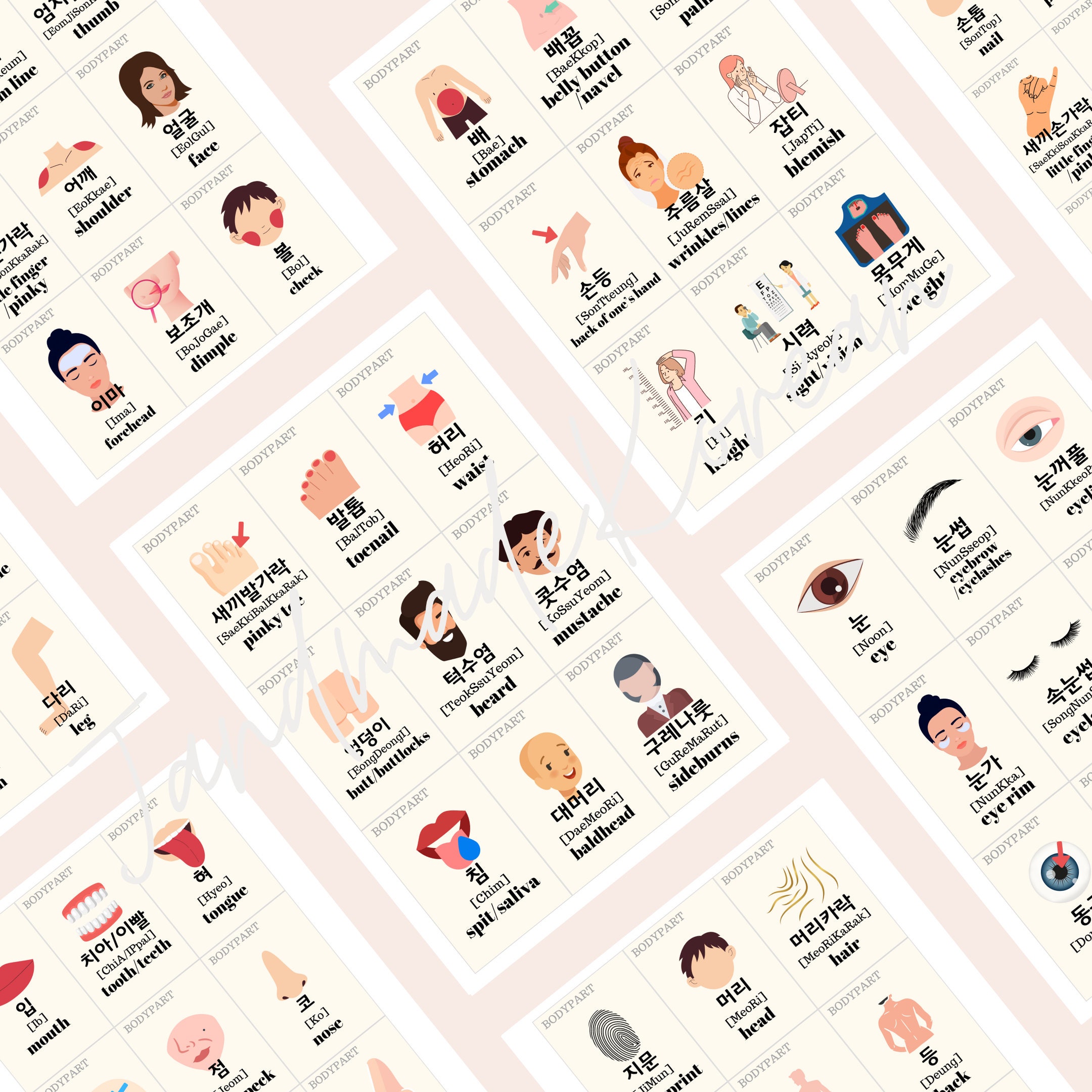 Korean Alphabet | Hangul | Printable | Korean Flash Cards | Body Part ...