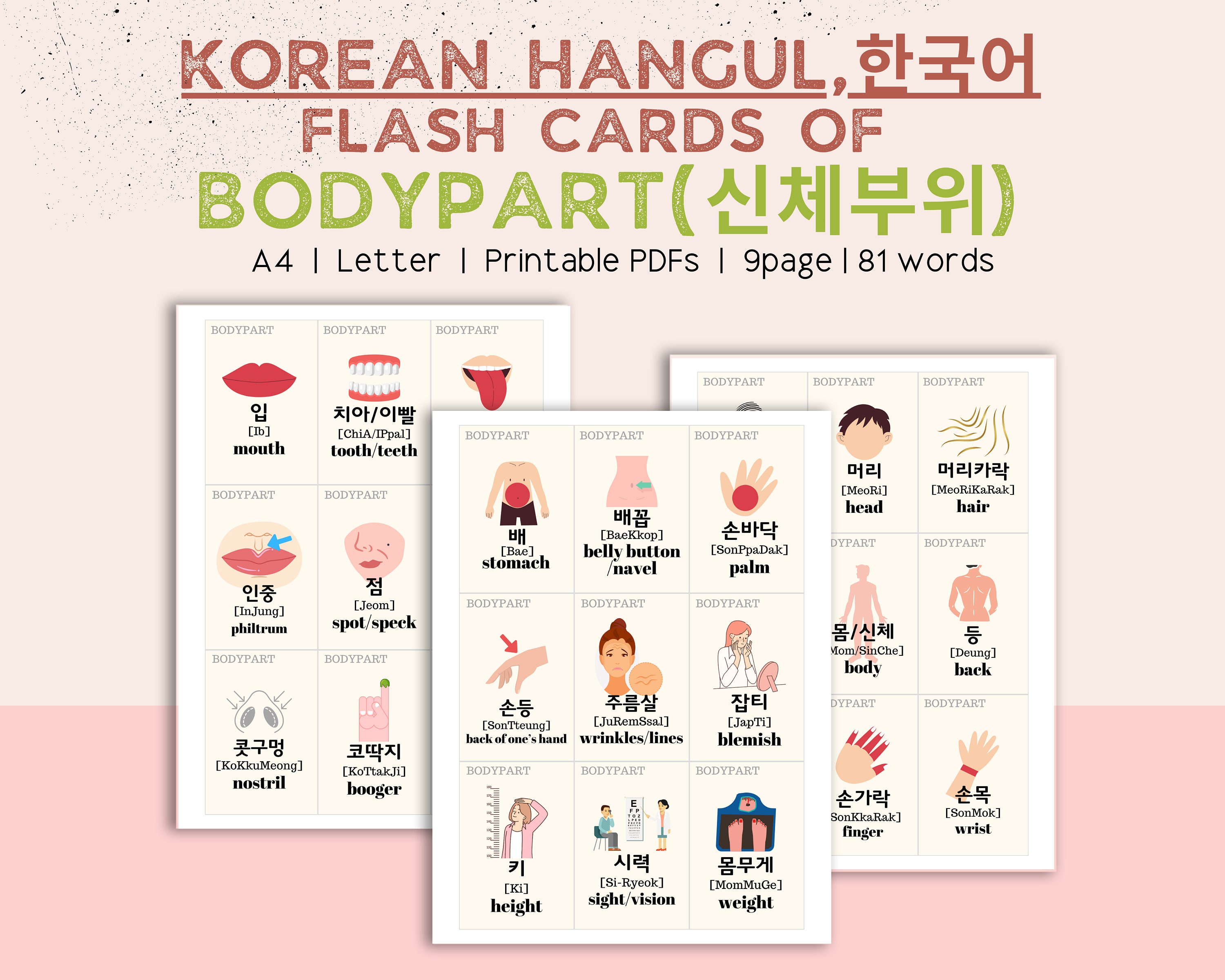Korean Alphabet Hangul Printable Korean Flash Cards Body Part Learning ...