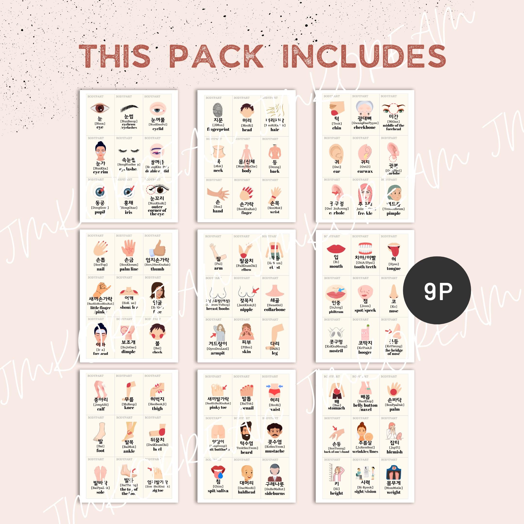 Korean Alphabet | Hangul | Printable | Korean Flash Cards | Body Part ...