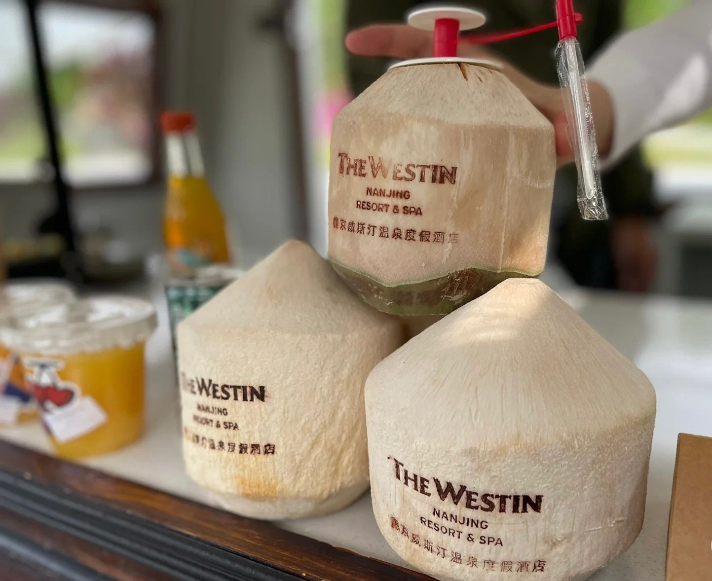 Custom Coconut Stamp Young Coconut Logo Branding Iron | Etsy UK