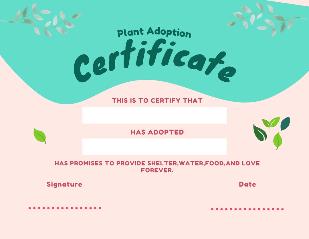 Get a Certificate of Adoption and Officially Recognize Your Beloved ...