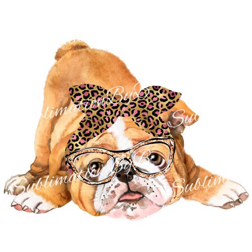 Cute English Bulldog Sublimation Design PNG Cool Animal - Etsy