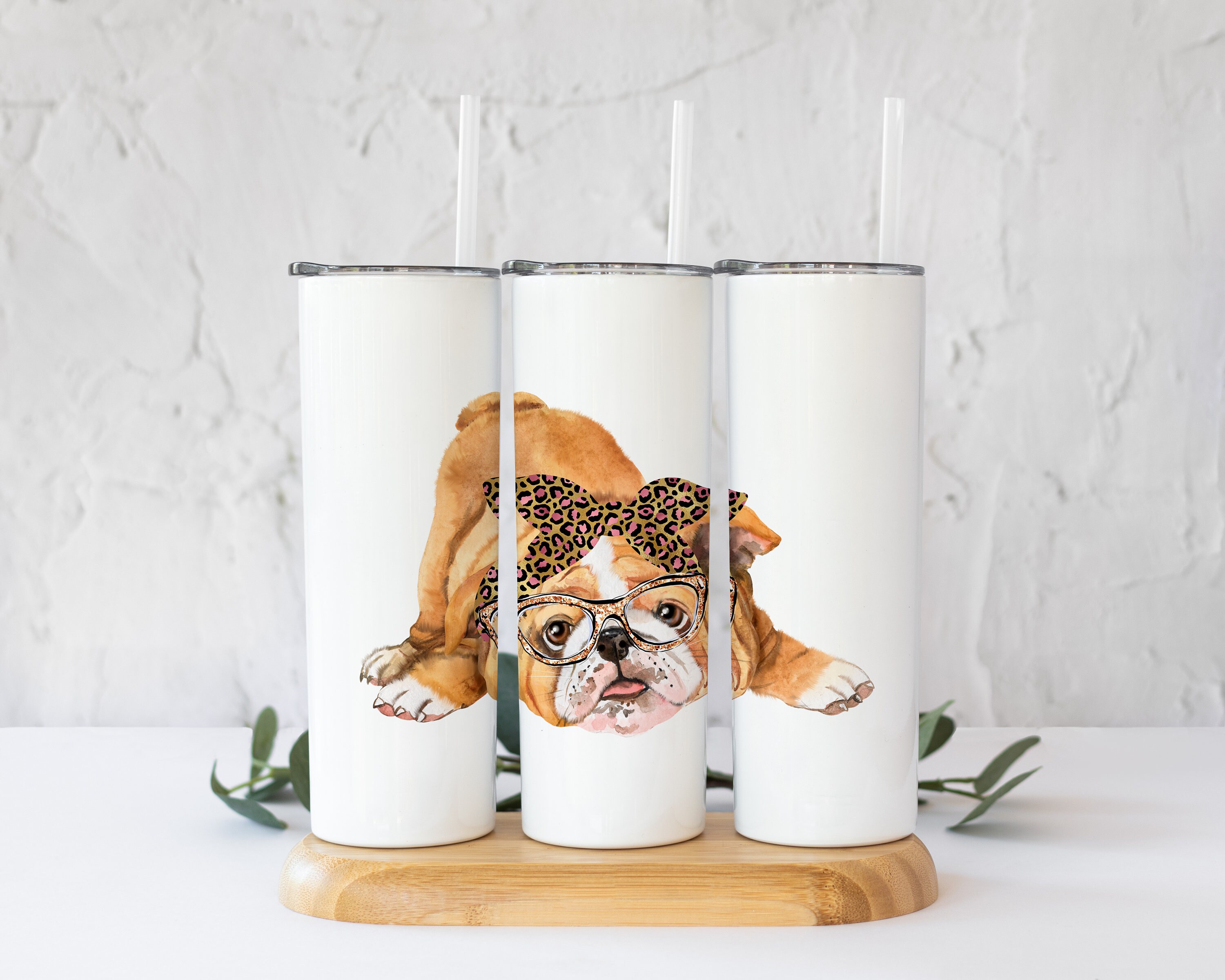 Cute English Bulldog Sublimation Design PNG Cool Animal - Etsy