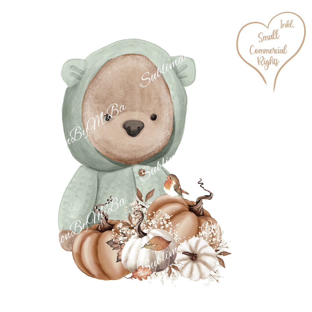 Baby Bear Sublimation Design PNG Boho Fall Toddler - Etsy