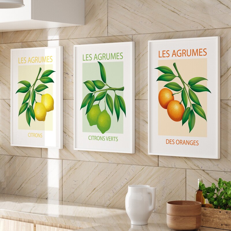 Fruit Poster - Etsy UK