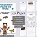 Animals From Around the World | Learn-to-write Workbook | Digital ...