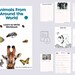 Animals From Around the World | Learn-to-write Workbook | Digital ...