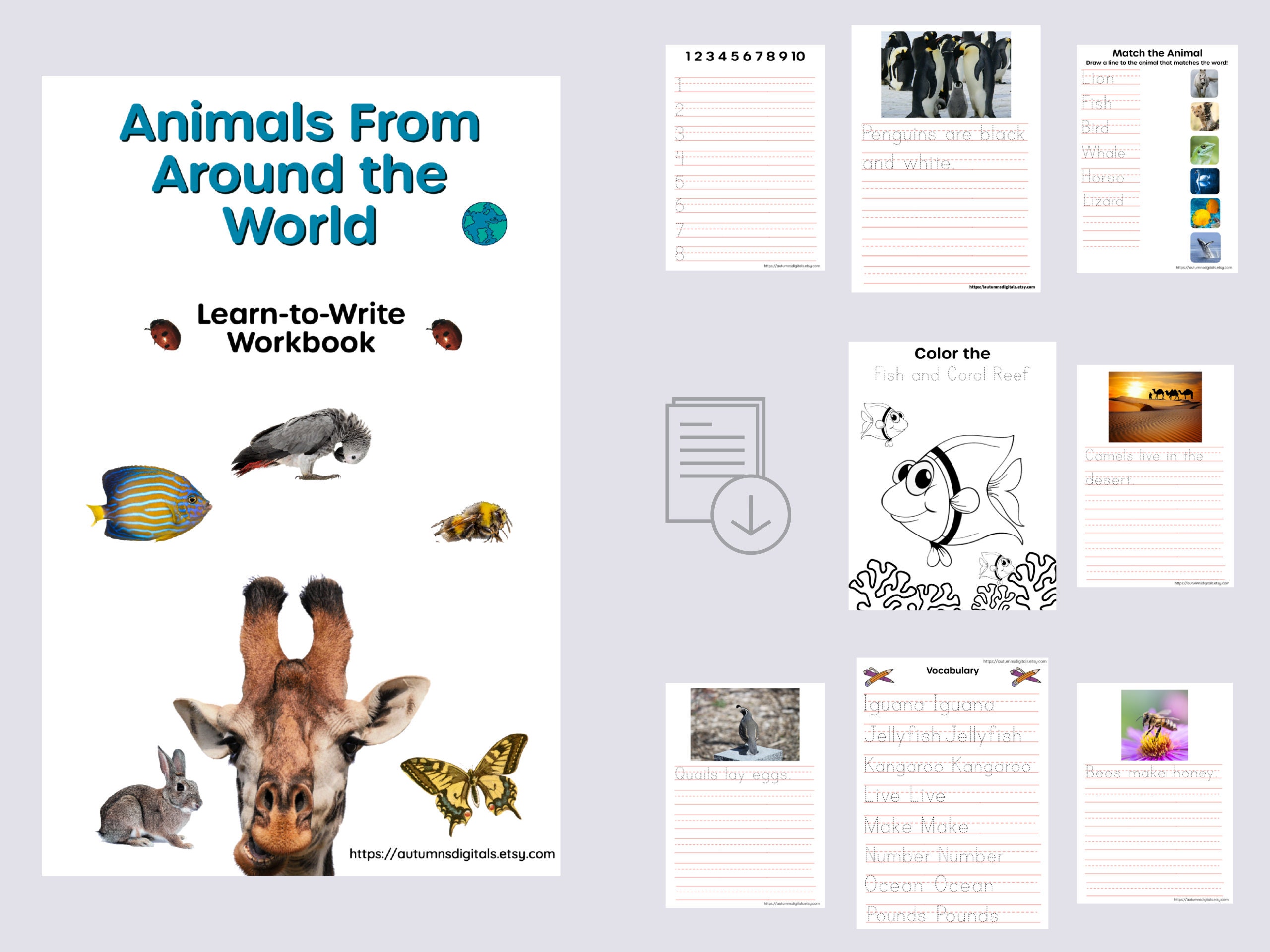 Animals From Around the World | Learn-to-write Workbook | Digital ...
