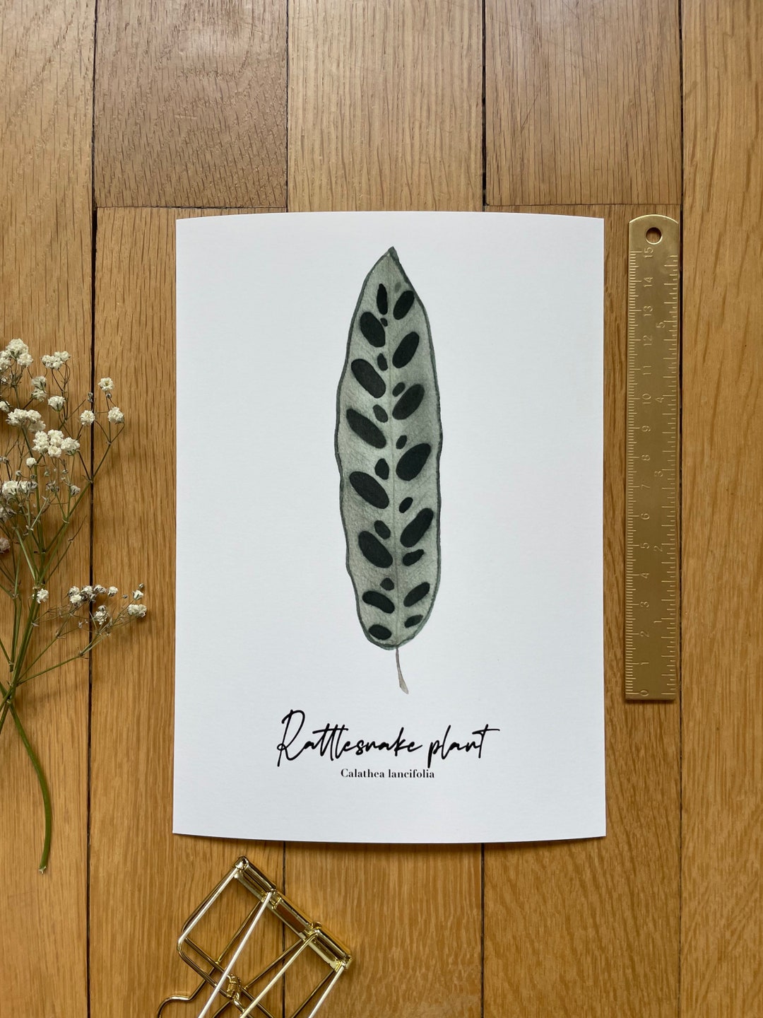 Rattlesnake Watercolor Greenery Print A5 - Etsy