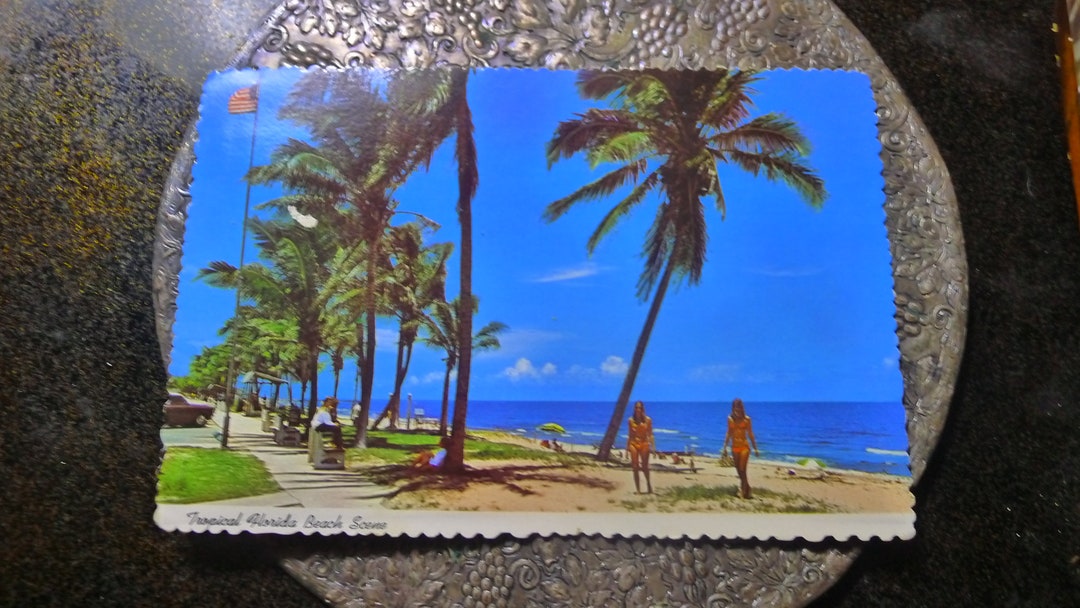 Tropical Florida Beach Scene. Real Color Photo Post Card. Circa 1960s ...