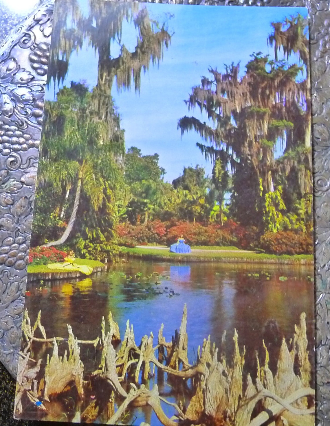 Cypress Gardens, Florida. Real Color Photo Post Card. Circa 1970s ...