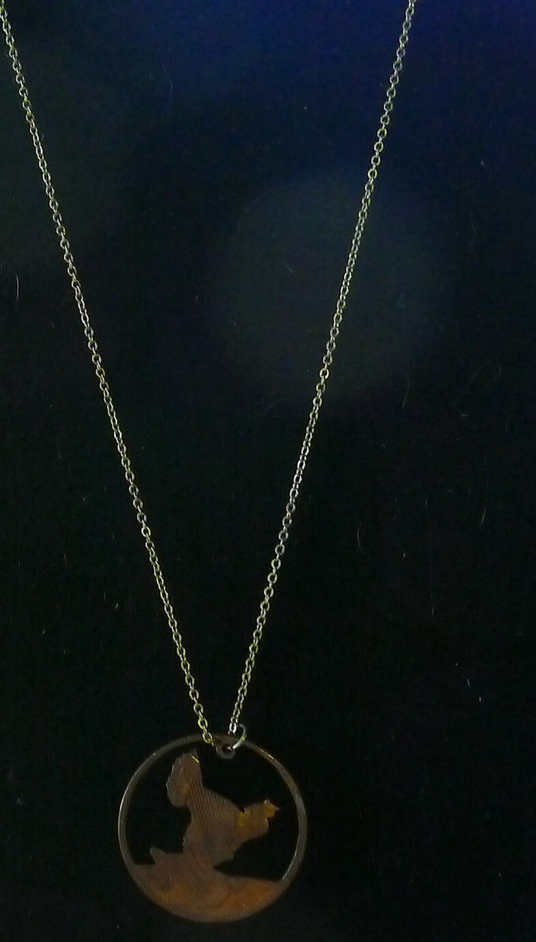 Hen and Chicks Pendant Necklace. Foreign Coin. Copper - Etsy