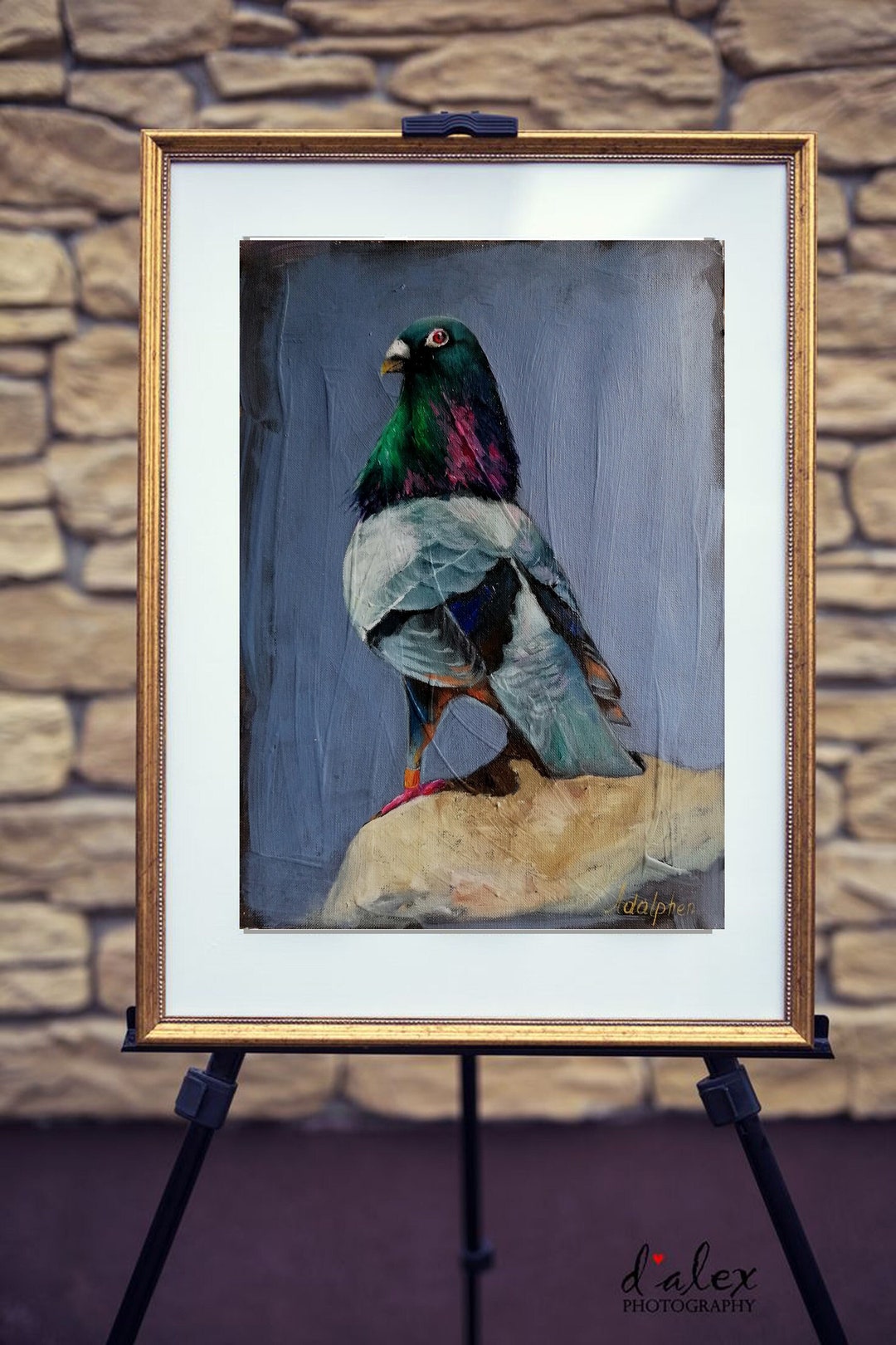 Fancy Dove Oil Painting , Pigeon Oil Painting,handmade Original ...