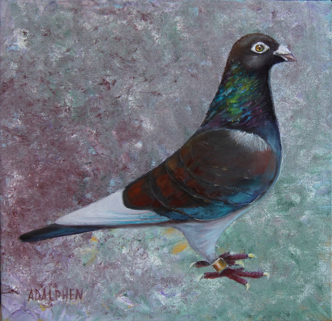 Dove, Pigeon Birds, Pigeon Oil Painting, Handmade Painting, Original - Etsy