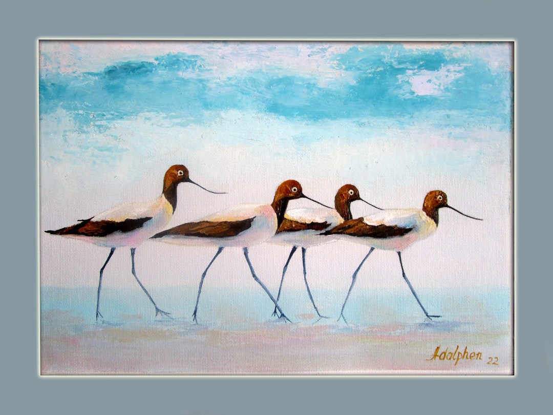 American Avocets Seabirds Oil Painting,turquoise Colour,original Art ...