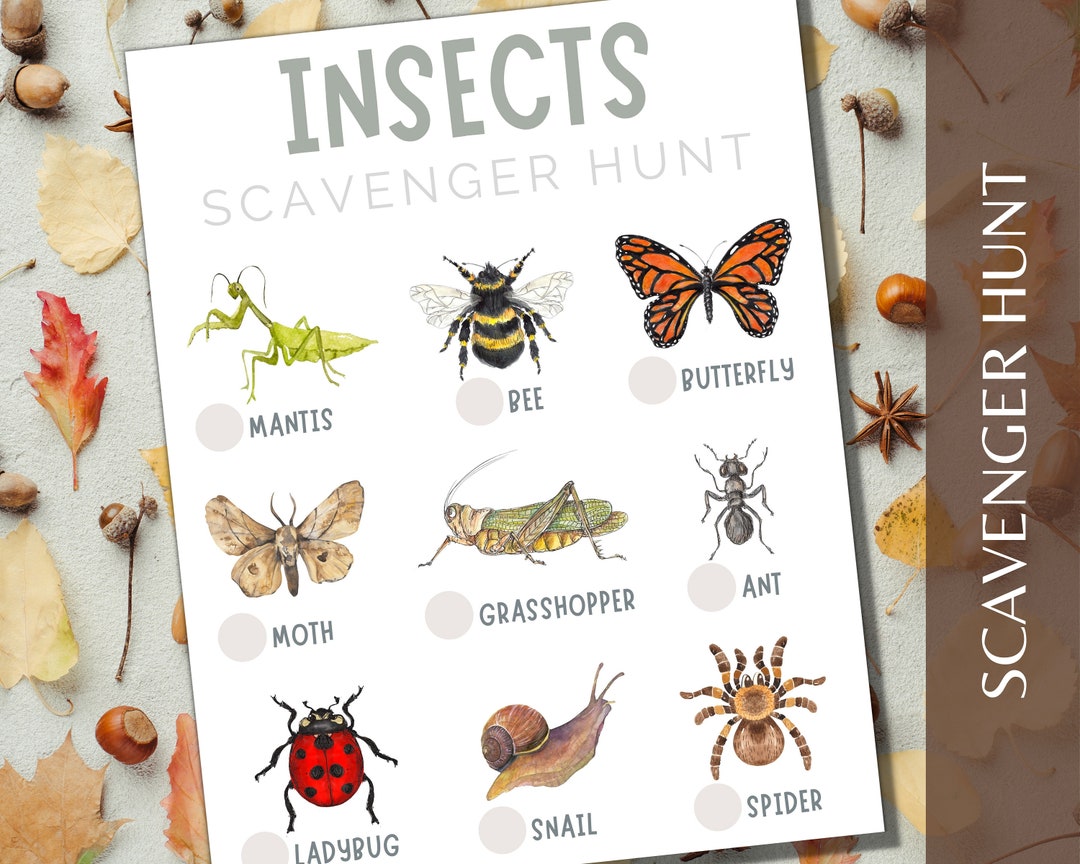 Insects Nature Scavenger Hunt Game for Kids, Trail Hiking, Camping ...