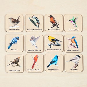 Montessori 2 Years Old Toys, Birds Matching Cards, Toddler Learning ...