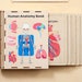 Learning Human Anatomy for Toddler, Human Organs Puzzle Book ...