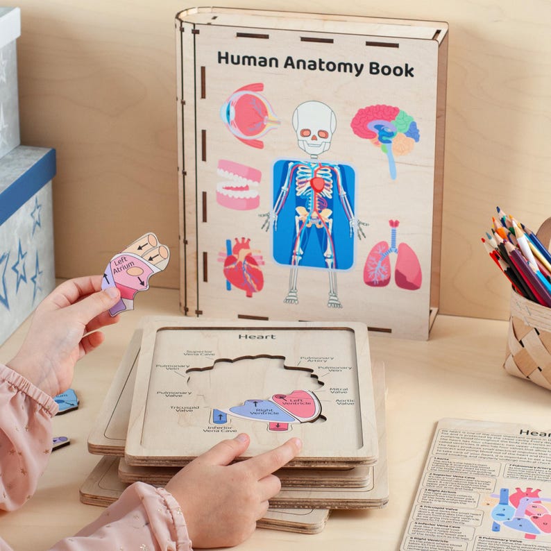 Human Anatomy Wooden Busy Book for Kids by Ecobabypuzzle, Human Organs ...