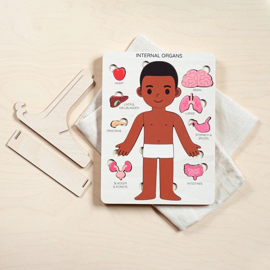Human Body Puzzle, Montessori Toys, Toddler Toys, Anatomy Wooden Puzzle ...