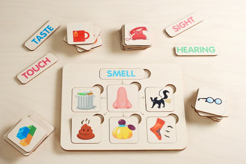 Educational Wood Toys Five Senses Matching Cards Educational - Etsy