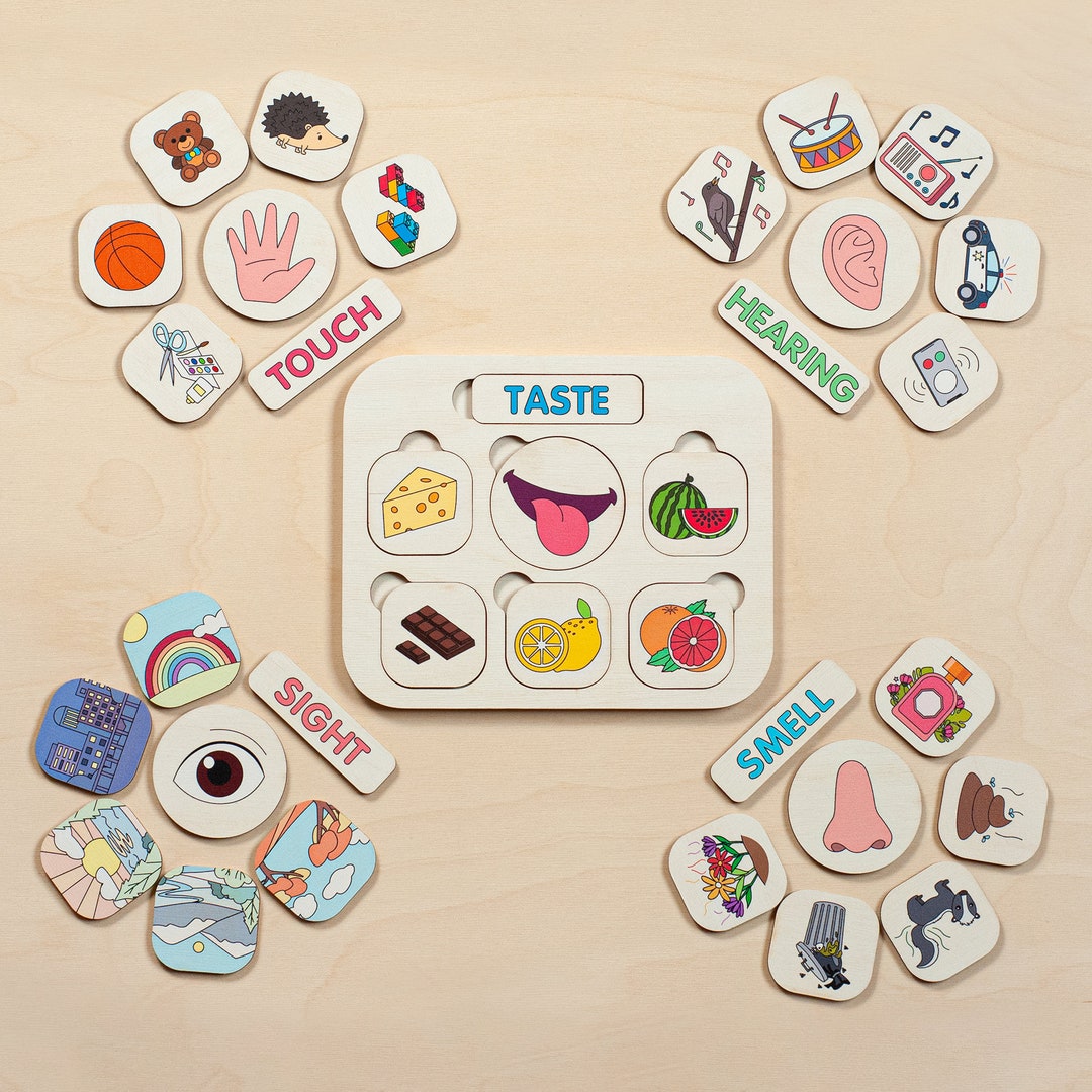 Five Senses Sorting Activity Puzzle, Five Senses Matching Cards ...