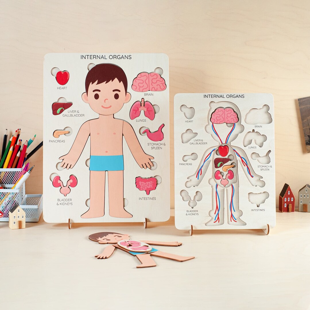 Human Body Puzzle Montessori Toys 3 Years Old Toddler Toys Wooden ...