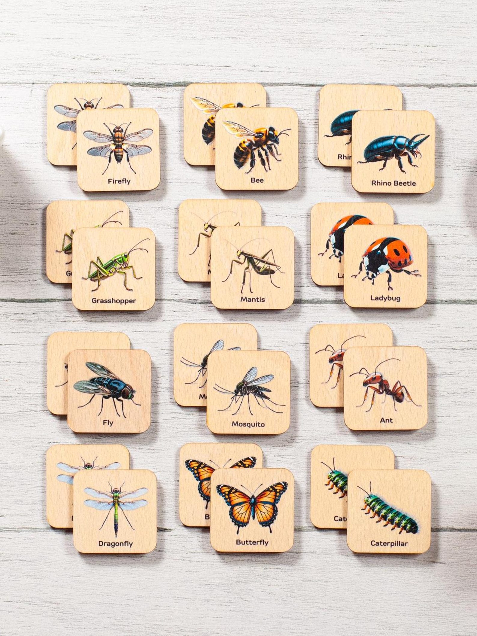 Insect Bugs Matching Flash Cards, Montessori Memory Game, Homeschool ...