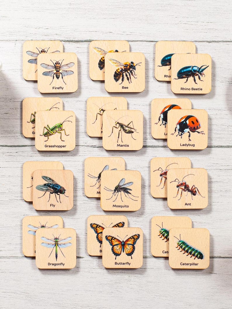 Insect Bugs Matching Flash Cards, Montessori Memory Game, Homeschool ...