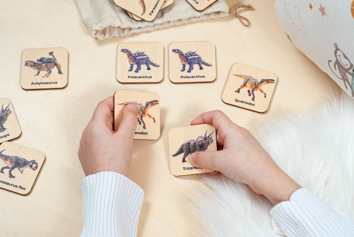 Montessori 2 Years Old Toys Birds Matching Cards Toddler - Etsy