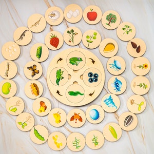Gift for Kids Wooden Puzzle Life Cycle Puzzle Montessori - Etsy