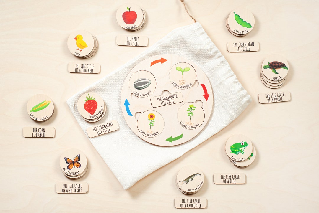 Wooden Life Cycle Puzzle, Montessori Toys for Toddler, Life Cycle Board ...