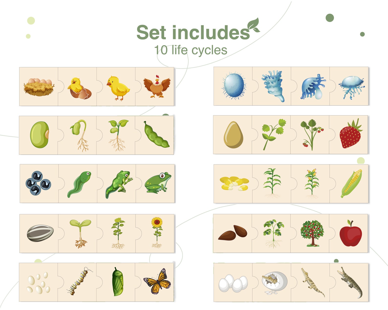 Life Cycle Montessori Toys for 2 3 4 Years Old Jigsaw - Etsy