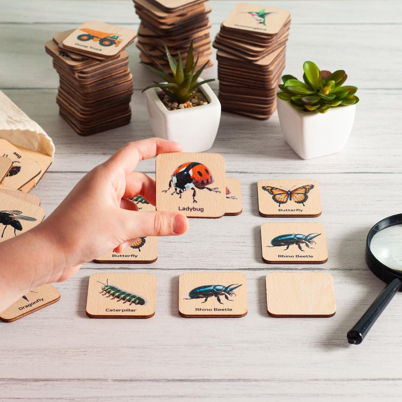 Insect Bugs Matching Flash Cards, Montessori Memory Game, Homeschool ...