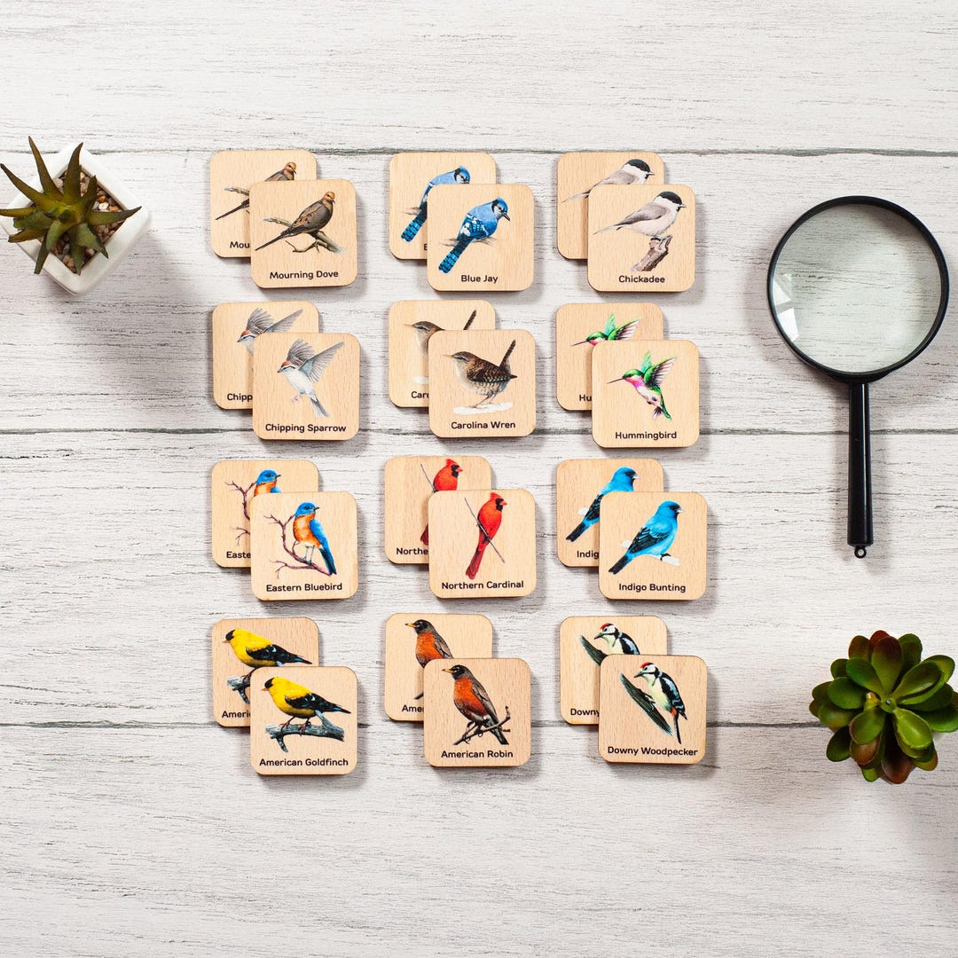 Montessori Bird Matching Game: Wooden Memory Cards, Toddler Gift - Etsy