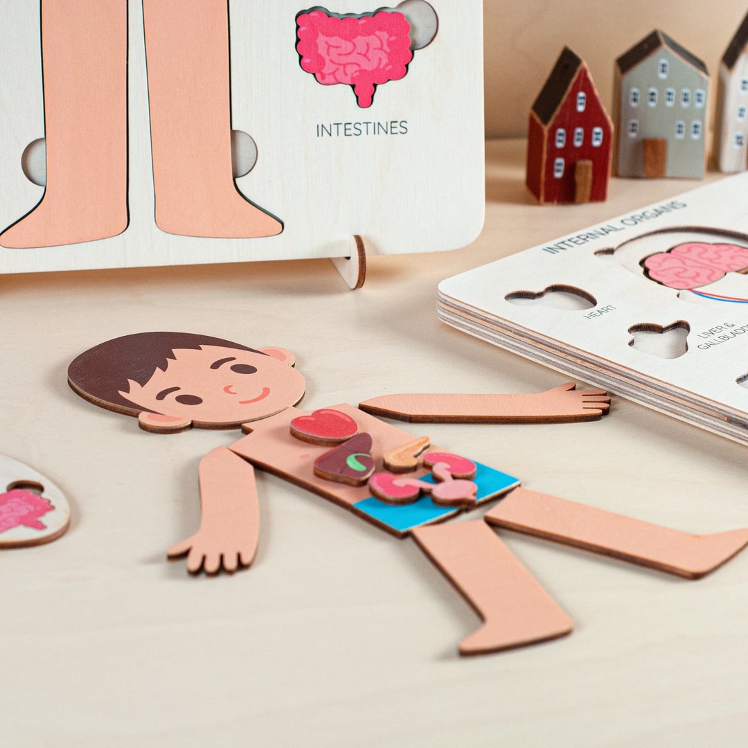 Montessori Toys, Human Body Puzzle, Toddler Toys Wooden Human Puzzle ...
