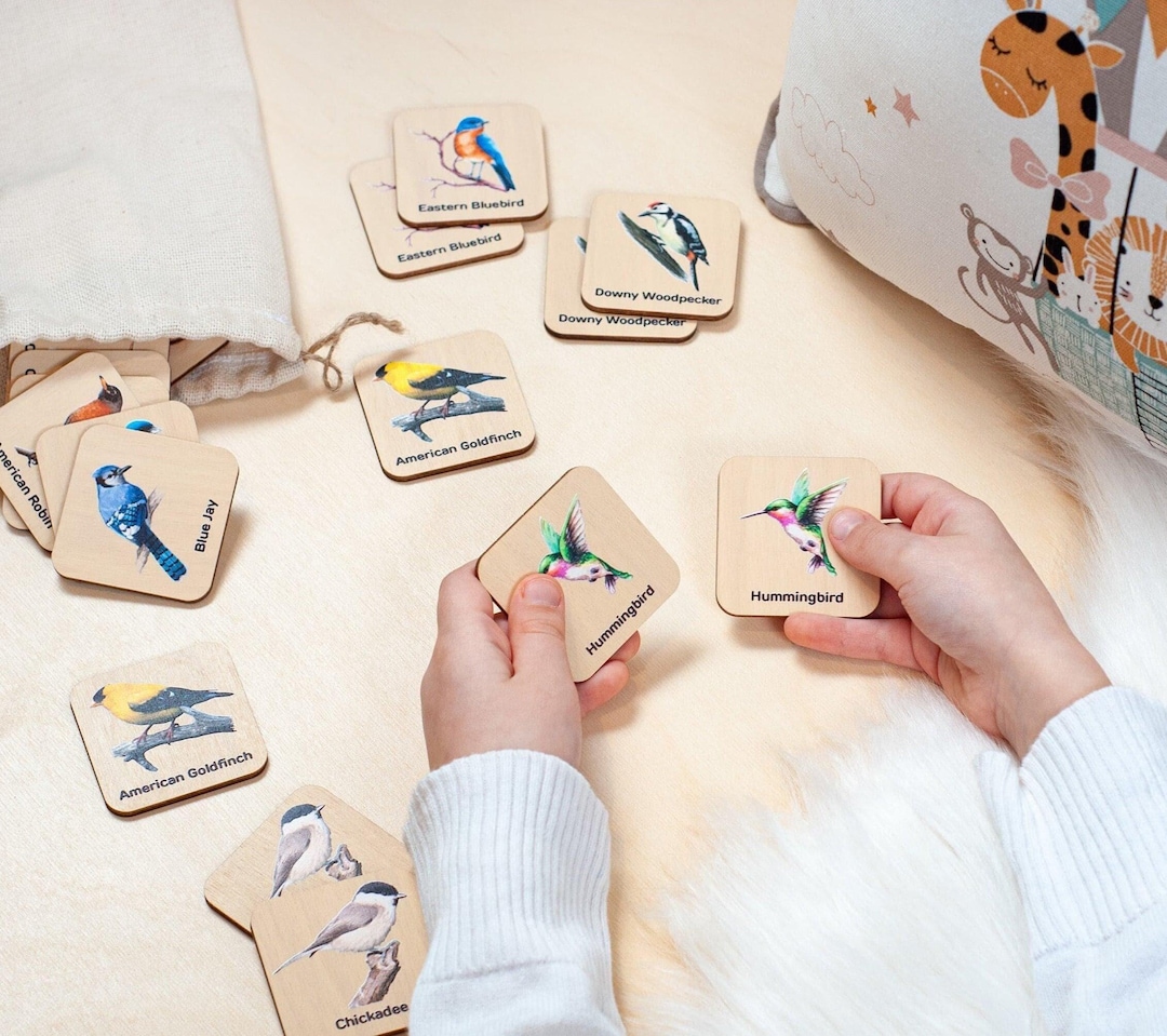 Birds Matching Cards, Learning Bird Toys, Montessori Educational ...