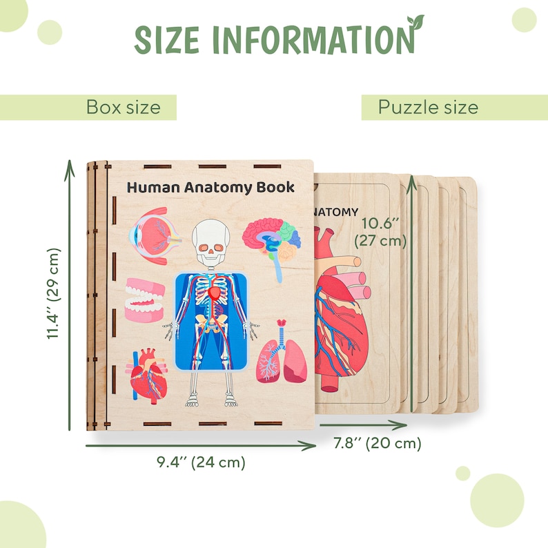 School Preparation Wooden Human Anatomy Busy Book, Montessori Organs ...