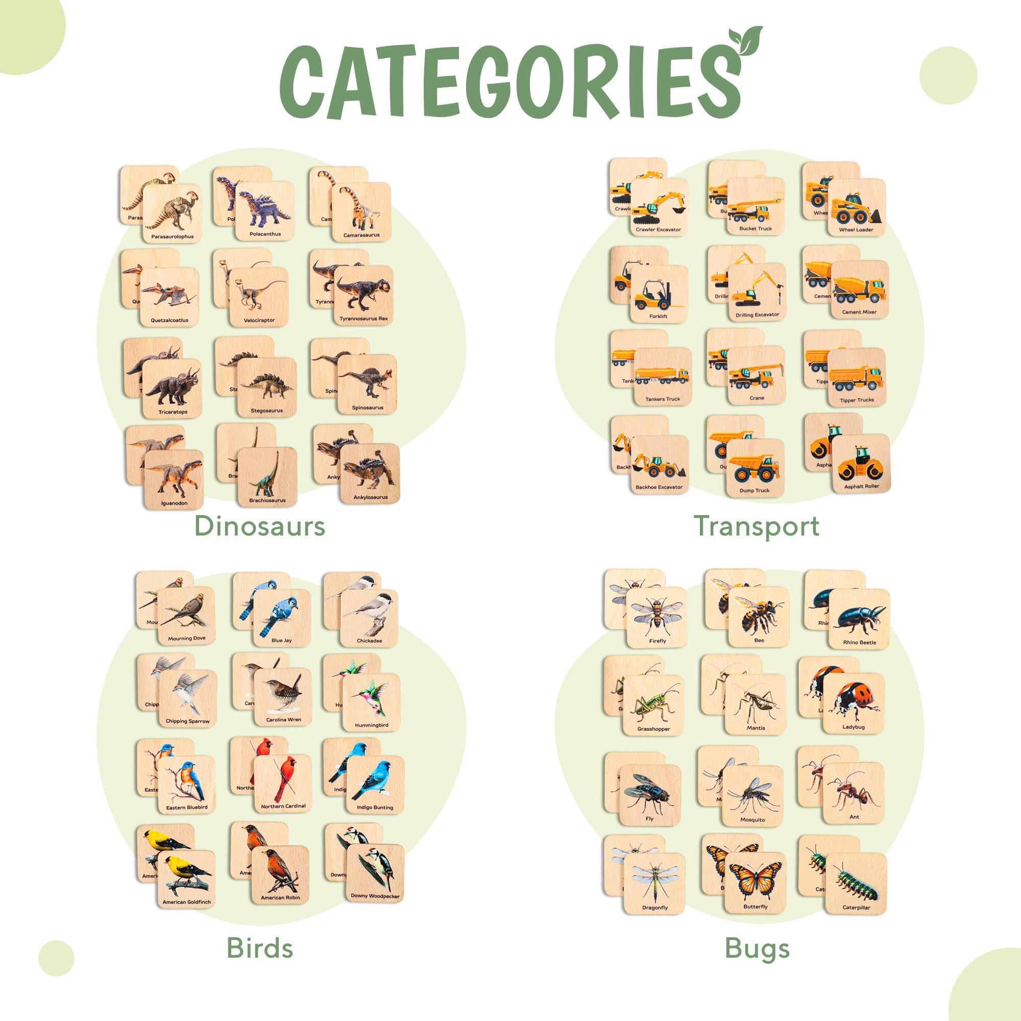 Insect Bugs Matching Flash Cards, Montessori Memory Game, Homeschool ...
