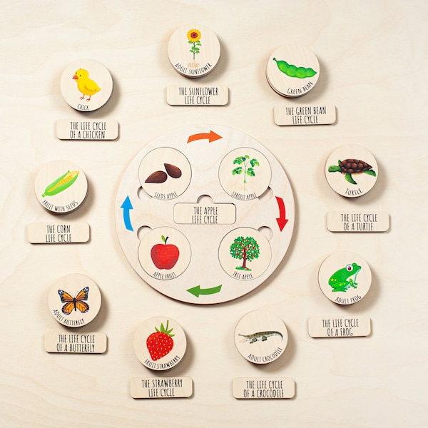 Life Cycle Puzzle - Etsy
