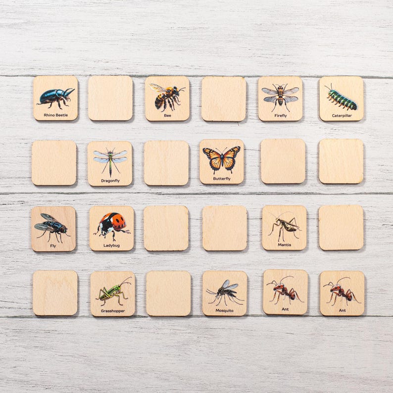 Insect Bugs Matching Flash Cards, Montessori Memory Game, Homeschool ...