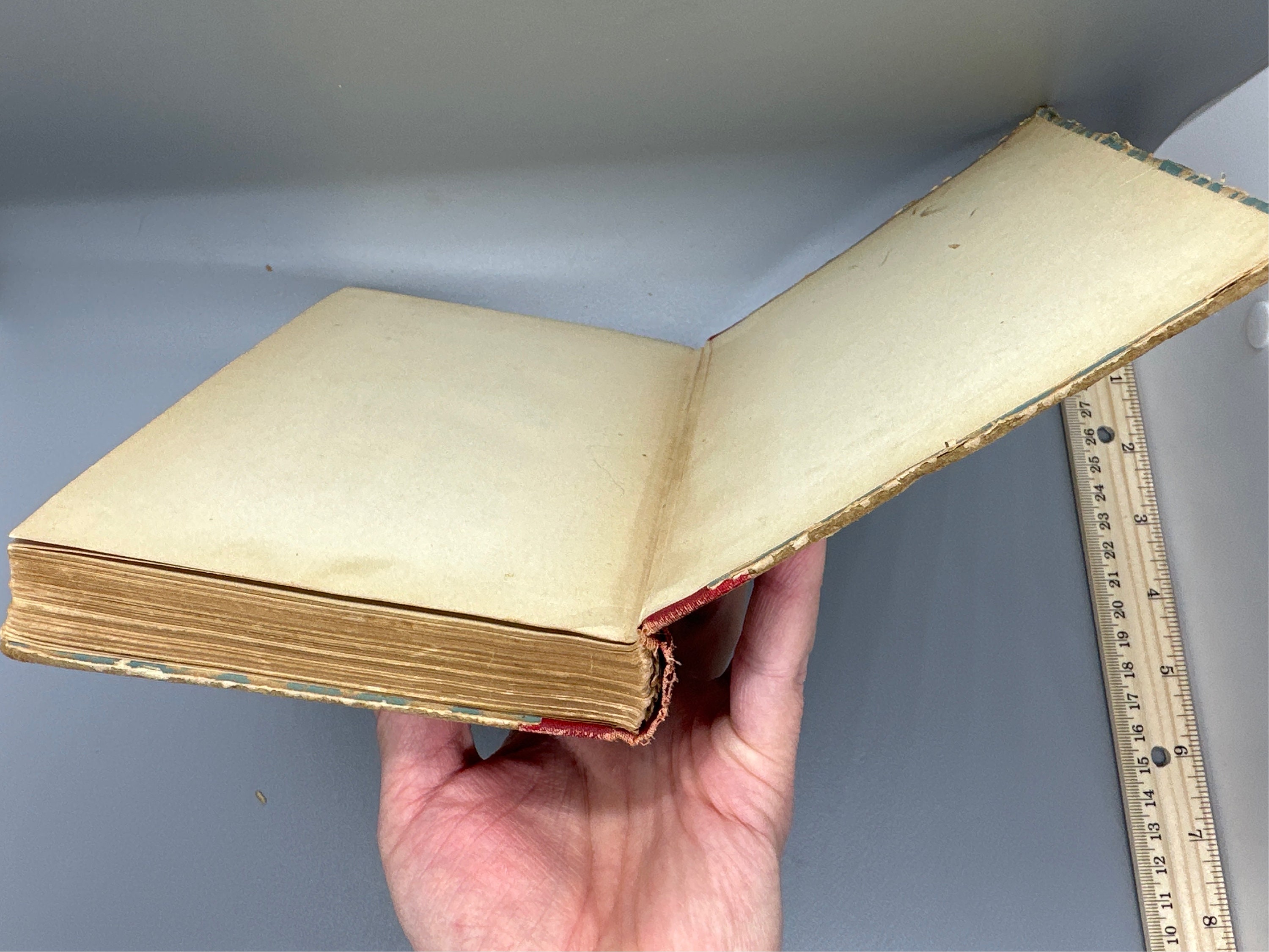 1925 Gentlemen Prefer Blondes Anita Loos Illustrated Book Boni ...