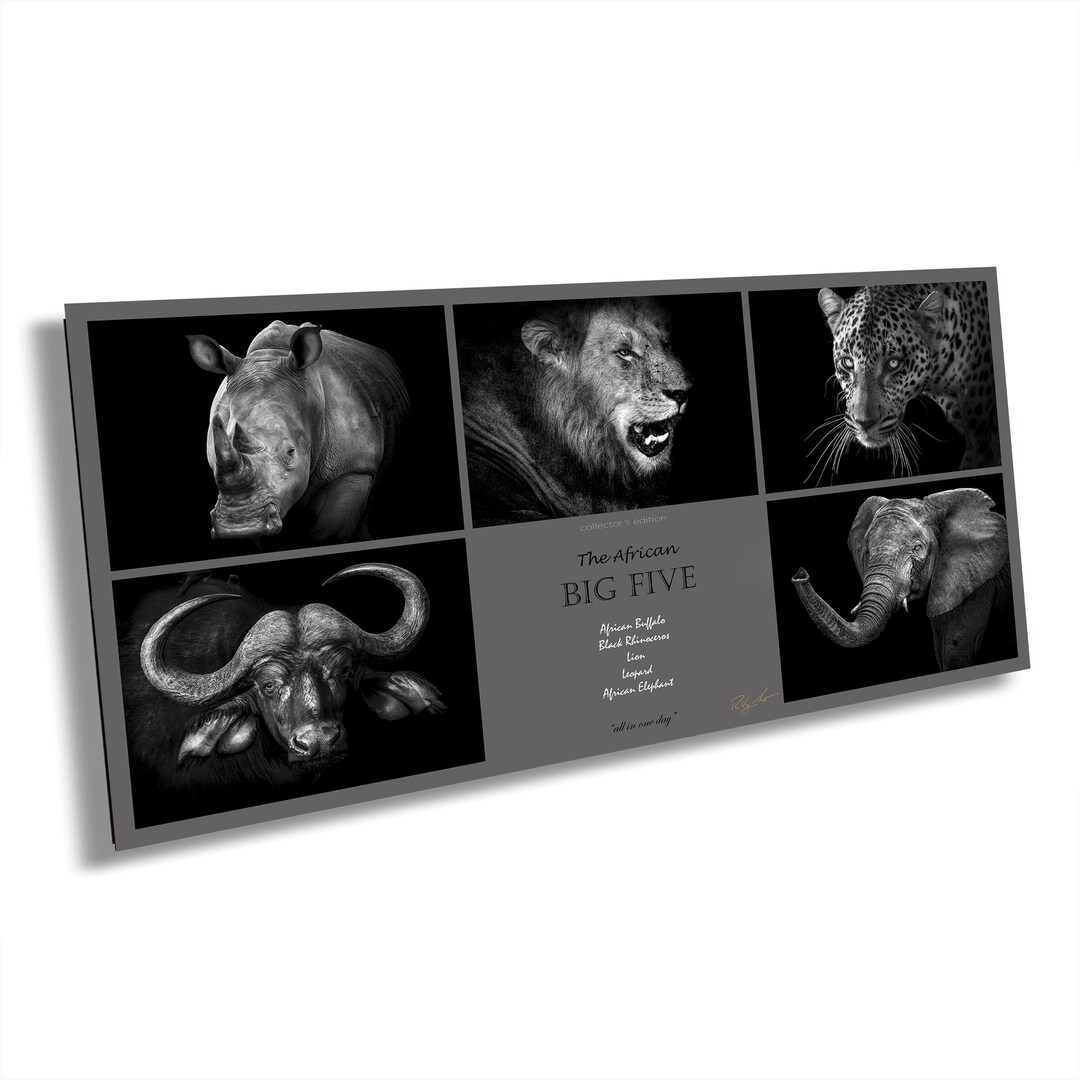 African Big Five Print, Travel Print, Black and White, Safari Poster ...