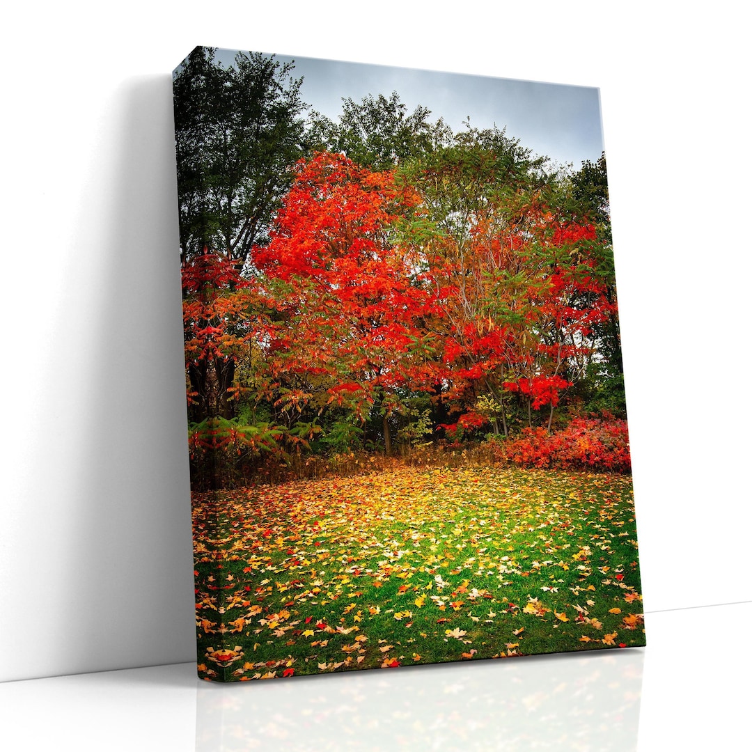 Autumn Colors Print, Red Leaves Wall Canvas, Fine Art Landscape, Nature ...